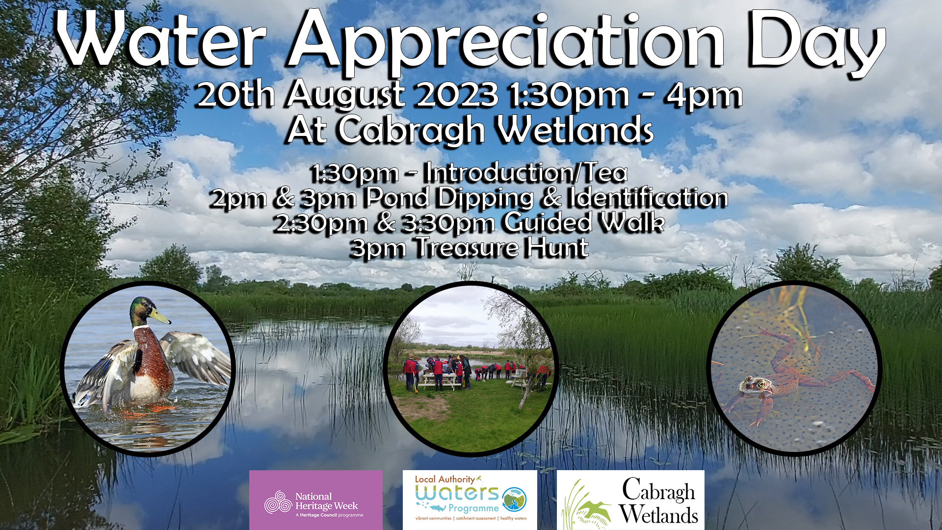 Water Appreciation Day at Cabragh Wetlands | Community Wetlands Forum